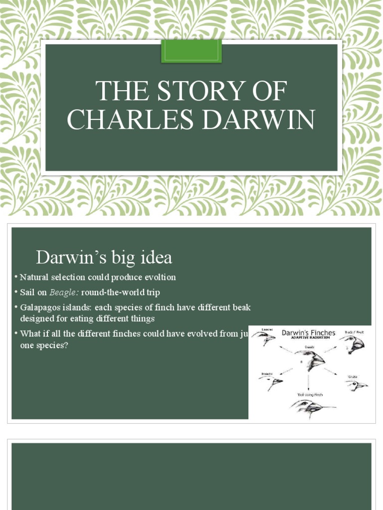 The Story of Charles Darwin | PDF