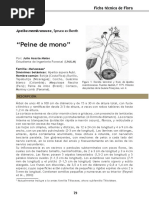 Características y usos del matapalo | PDF | Arboles | Hoja