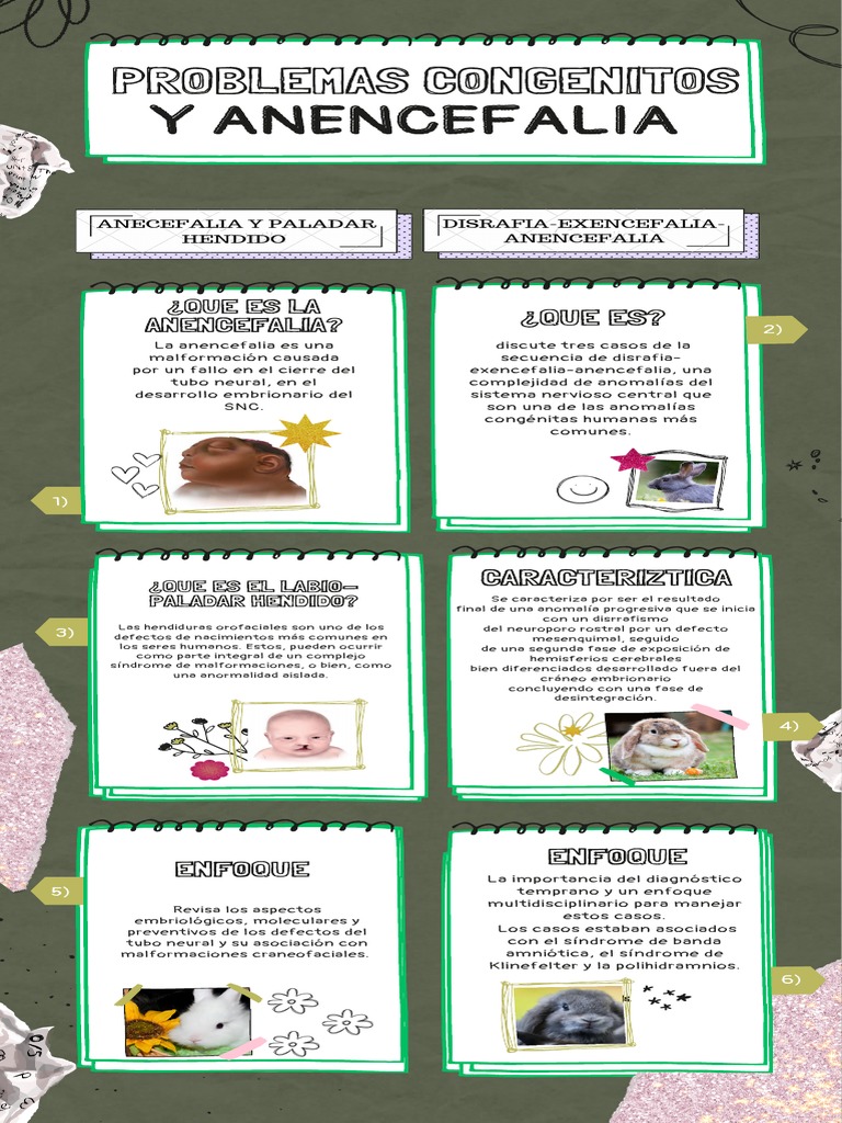 Infografia de Los Problemas Congenitos y Anencefalia | PDF | Sistema ...