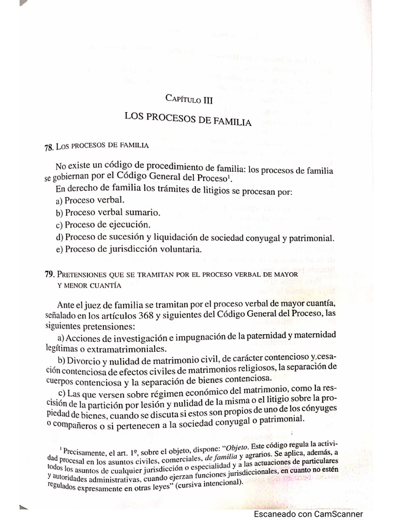 Los Procesos de Familia | PDF