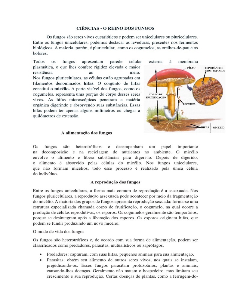 Ciências Fungos | PDF | Fungo | Célula (Biologia)