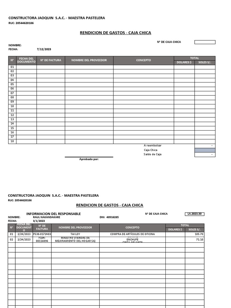 Formato de Caja Chica 2023 | PDF | Materiales
