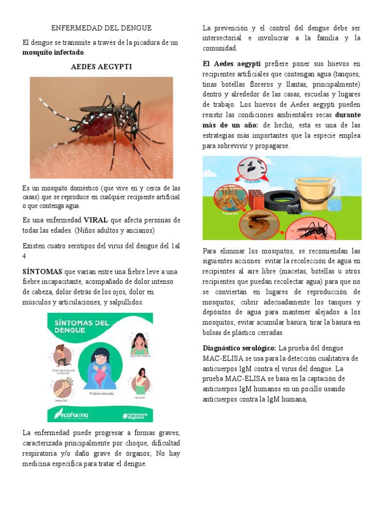 Enfermedad Del Dengue | PDF | Causas de la muerte | Especialidades Medicas