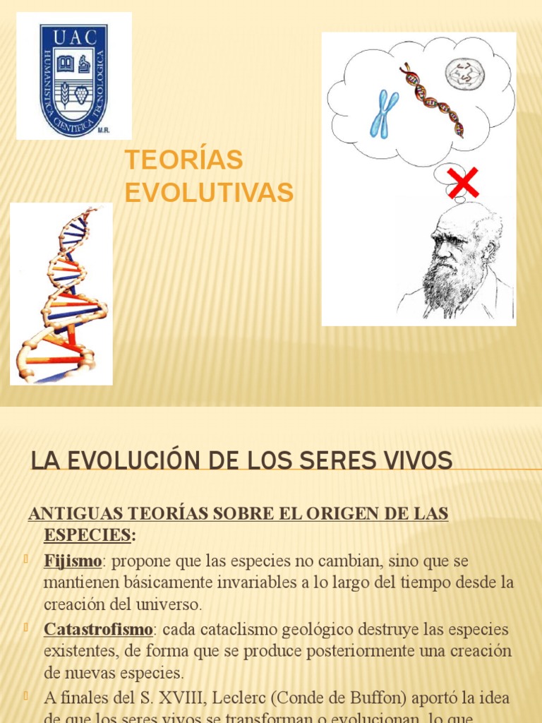 Teorias de La Evolución | PDF | Evolución | Seleccion natural