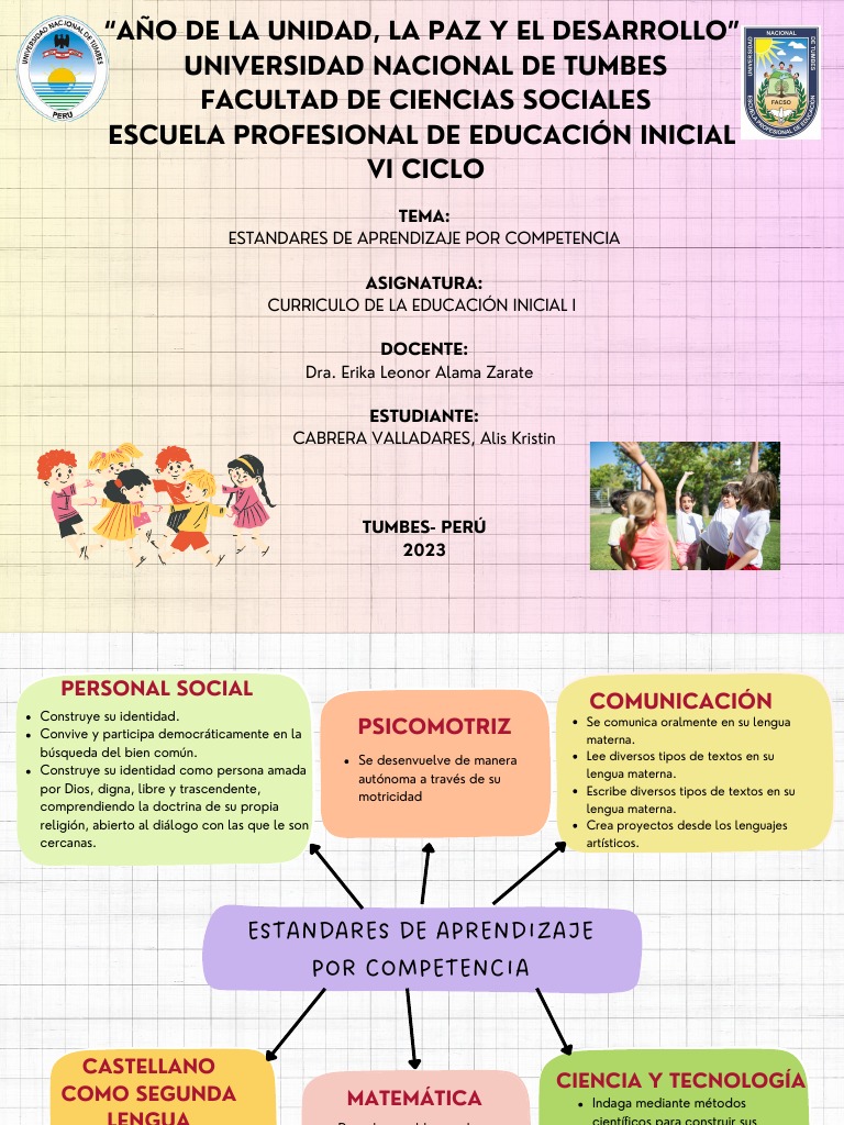 Estandares de Aprendizaje Por Competencia | PDF | Educación de la ...