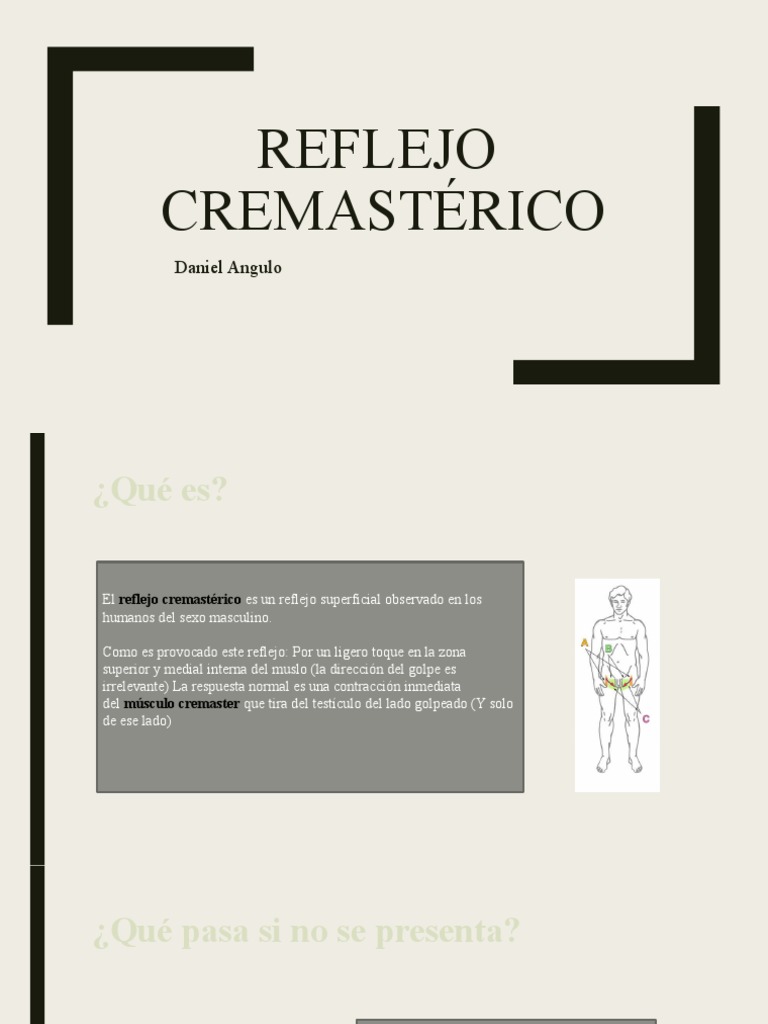 Reflejo Cremastérico: Definición y Ausencia | PDF