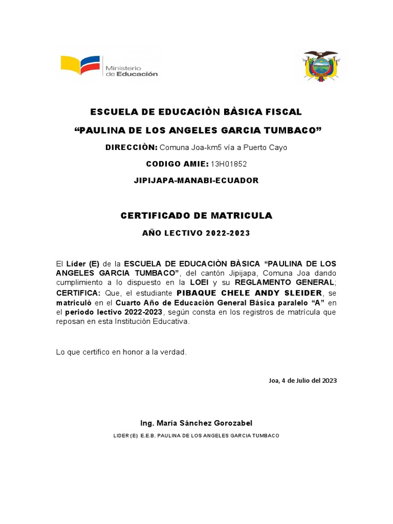 Certificado de Matricula Andy 2022 | PDF