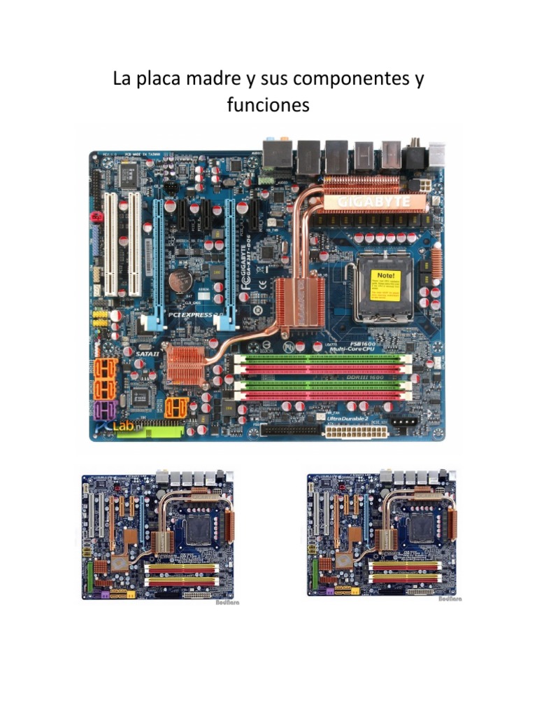 Placa Madre | PDF | Microprocesador | Bios