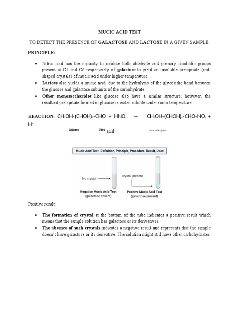 Mucic Acid Test for Galactose Detection | PDF