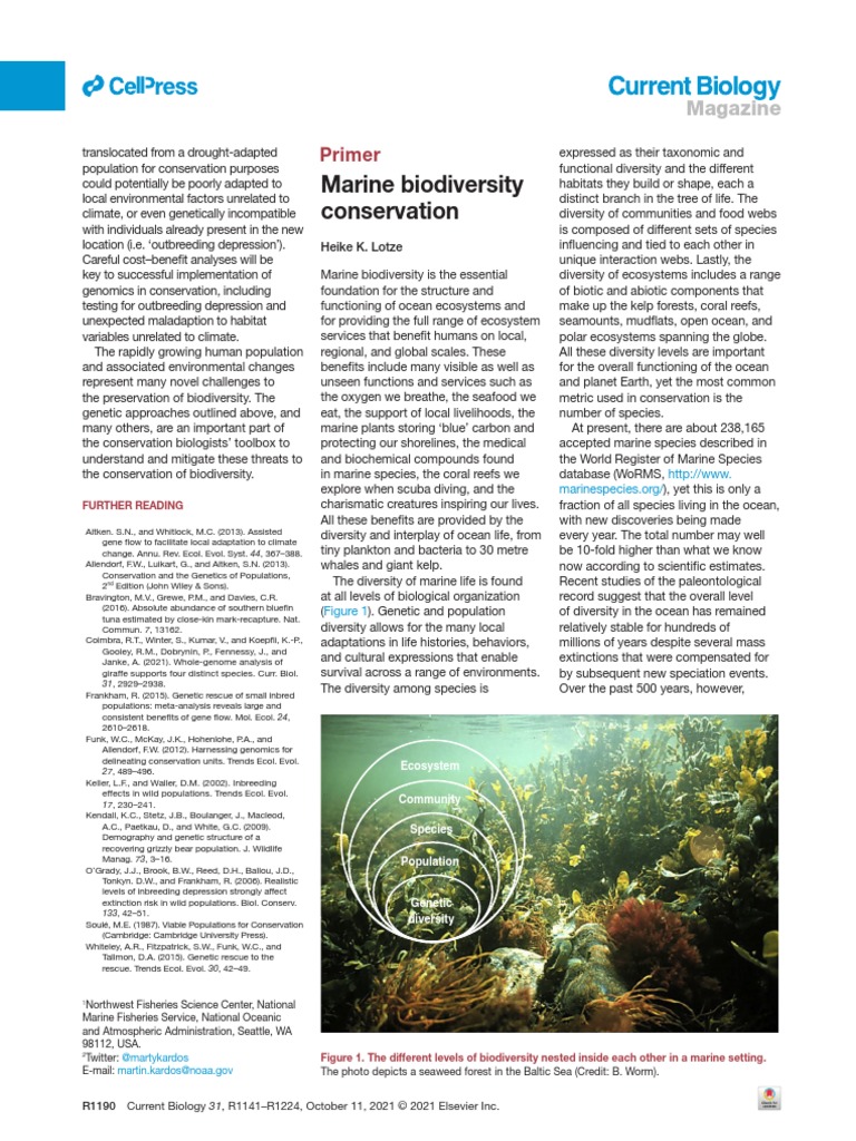 Marine Biodiversity Conservation: Primer | PDF | Conservation Biology ...