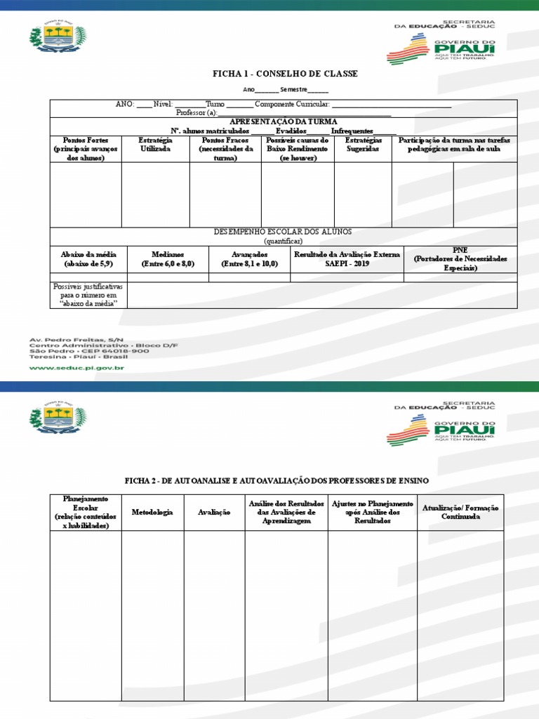 Fichas - Conselho - de - Classe - 2023 Professor | PDF | Aprendizado ...