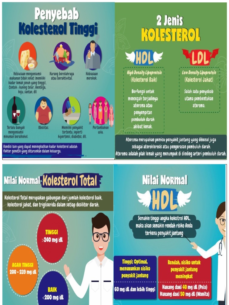 Leaflet Dislipidemia | PDF