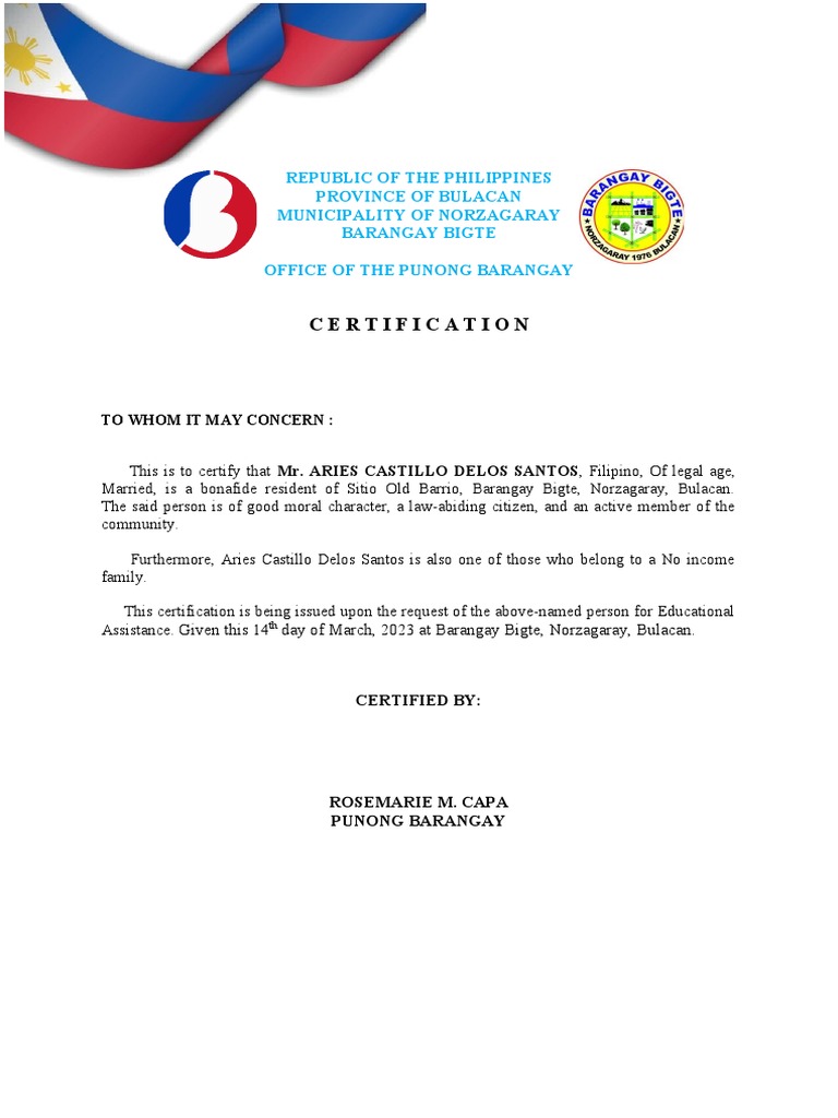 Certificate of No Income | PDF