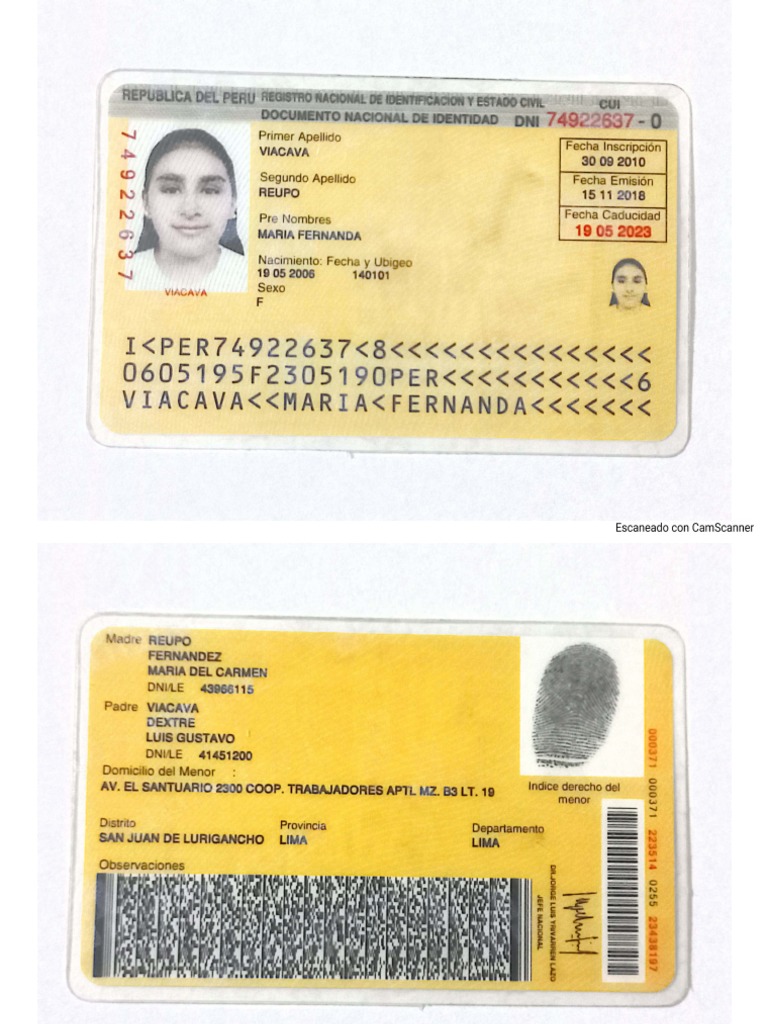 Dni Maria Viacava | PDF