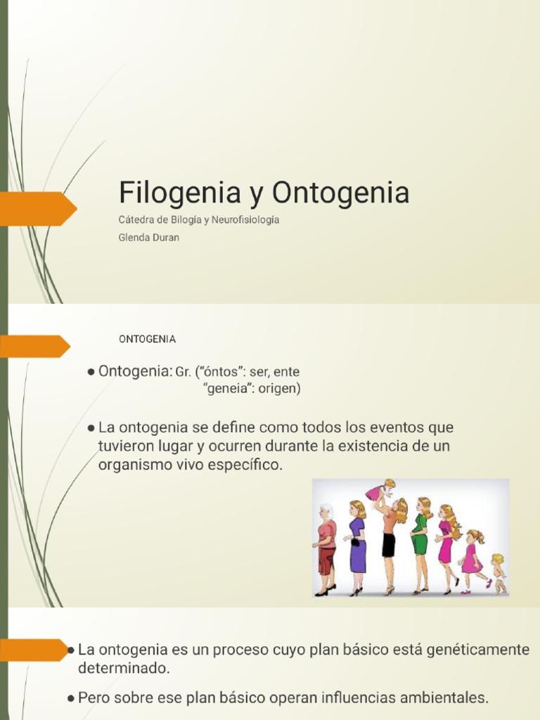 Filogenia y Ontogenia (Autoguardado) | PDF