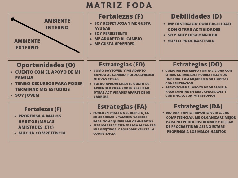 Matriz Foda | Descargar gratis PDF | Análisis FODA