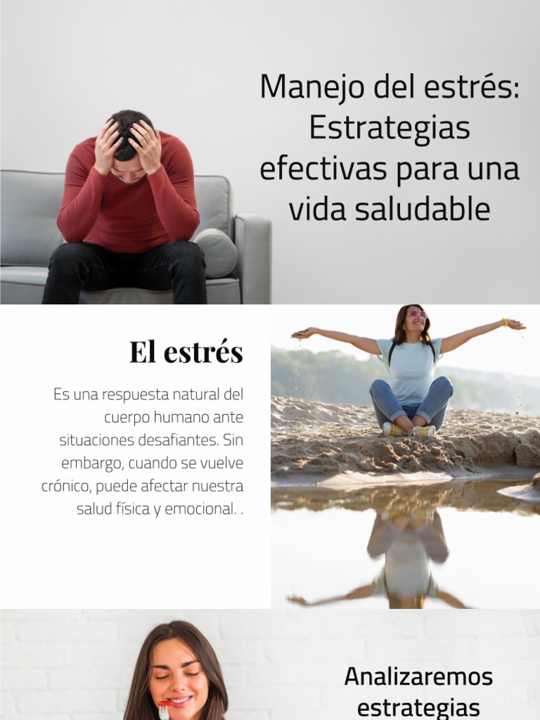 Presentacion 1 - Manejo Del Estres HD | PDF