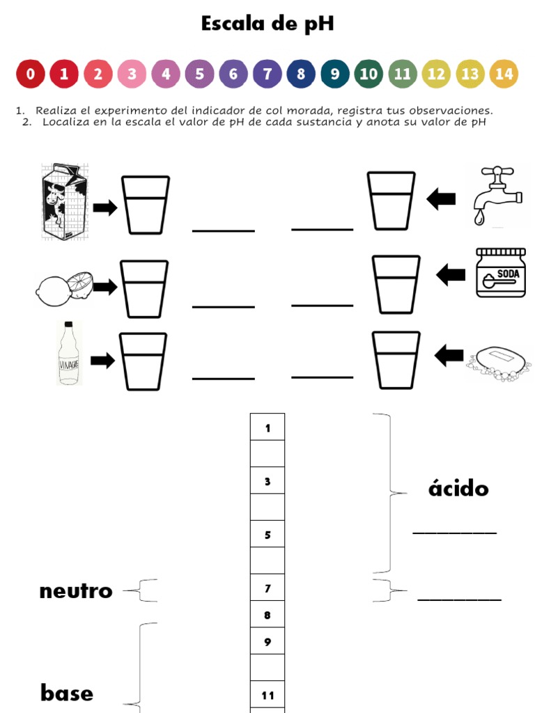 Actividad Escala de PH | PDF | Ph | Ácido