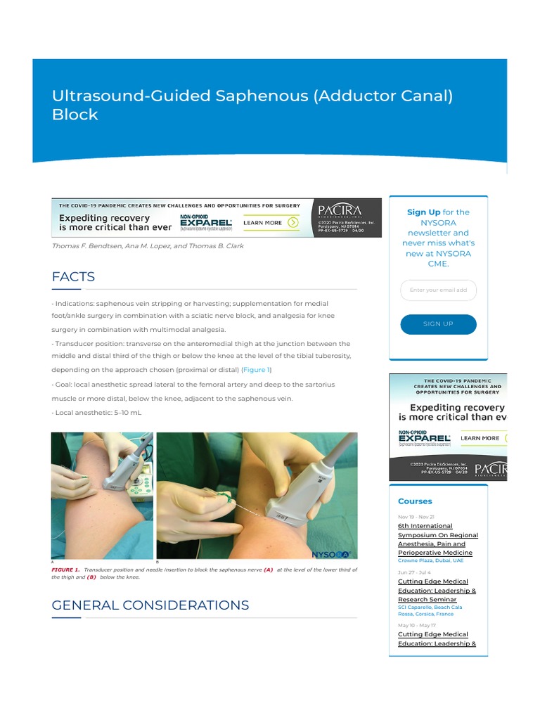 Ultrasound-Guided Saphenous (Adductor Canal) Block - NYSORA | PDF ...