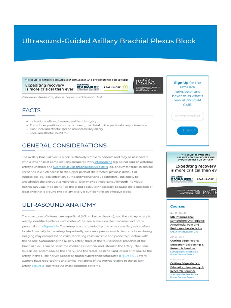 Ultrasound-Guided Axillary Brachial Plexus Block - NYSORA | PDF | Arm ...