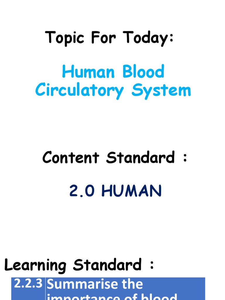 Human Blood Circulatory System | PDF