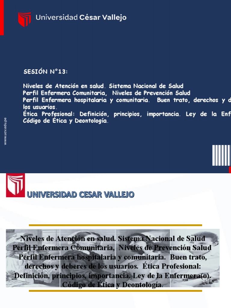 Sesión N°13 | PDF | Enfermería | Hospital