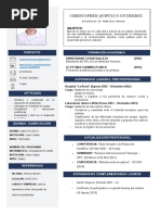 Tutoria VIII - Examen Final - Carcamo Ojeda Jairo | PDF | Negocios