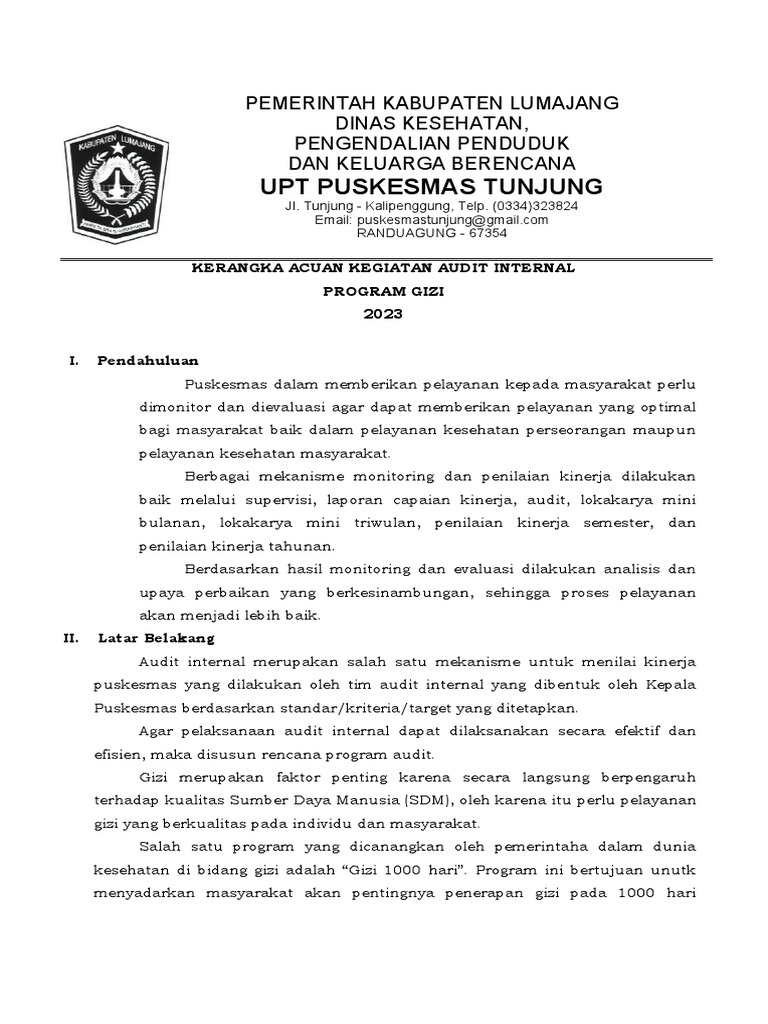 Kak Audit Internal GIZI | PDF