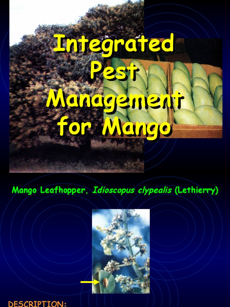 IPM For Mango | PDF | Insects And Humans | Insects