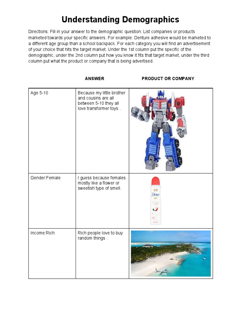 Understanding Demographics | PDF