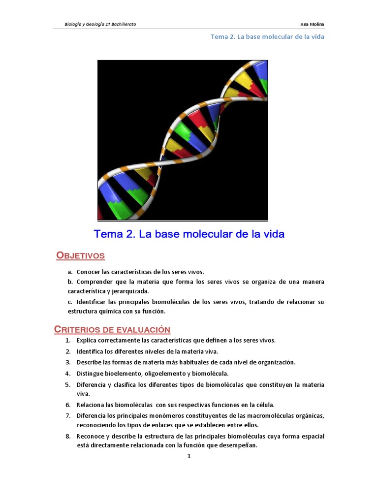 La Base Molecular de La Vida | PDF | Rna | Carbohidratos