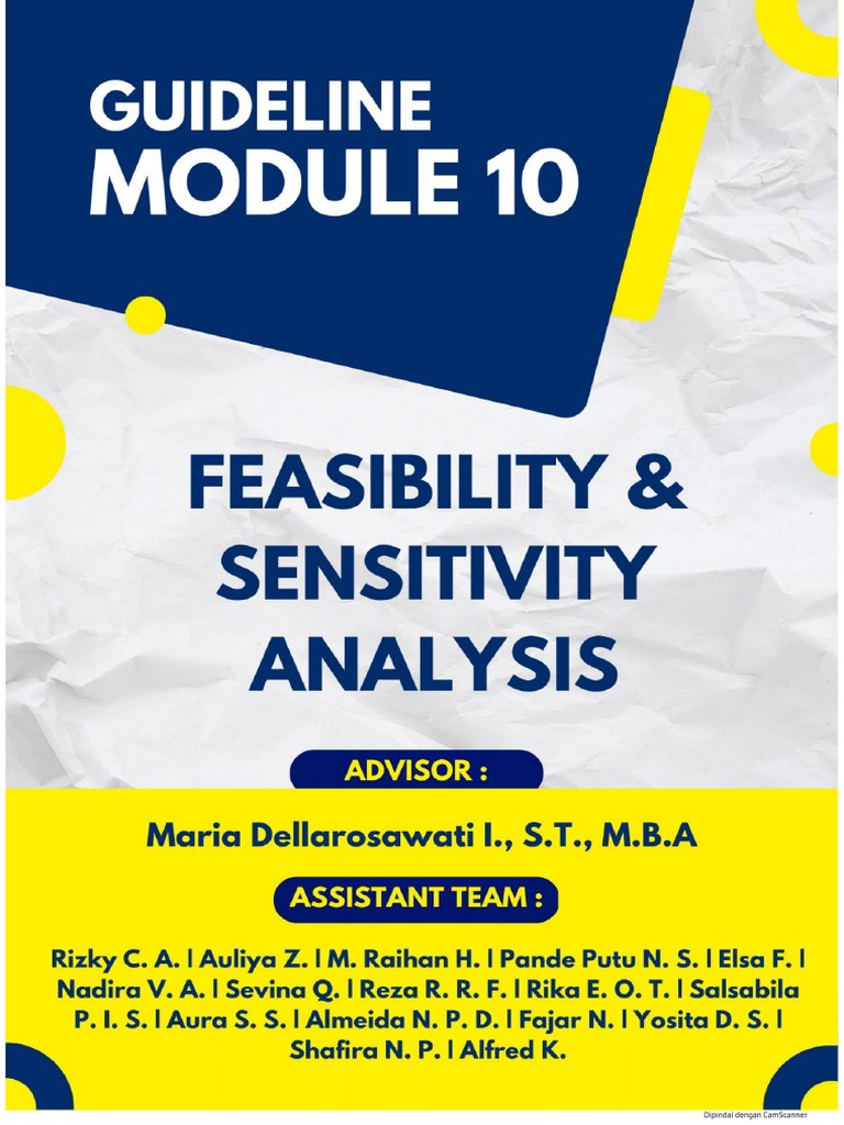 Guideline Module 10 Feasibility and Sensitivity Analysis | PDF