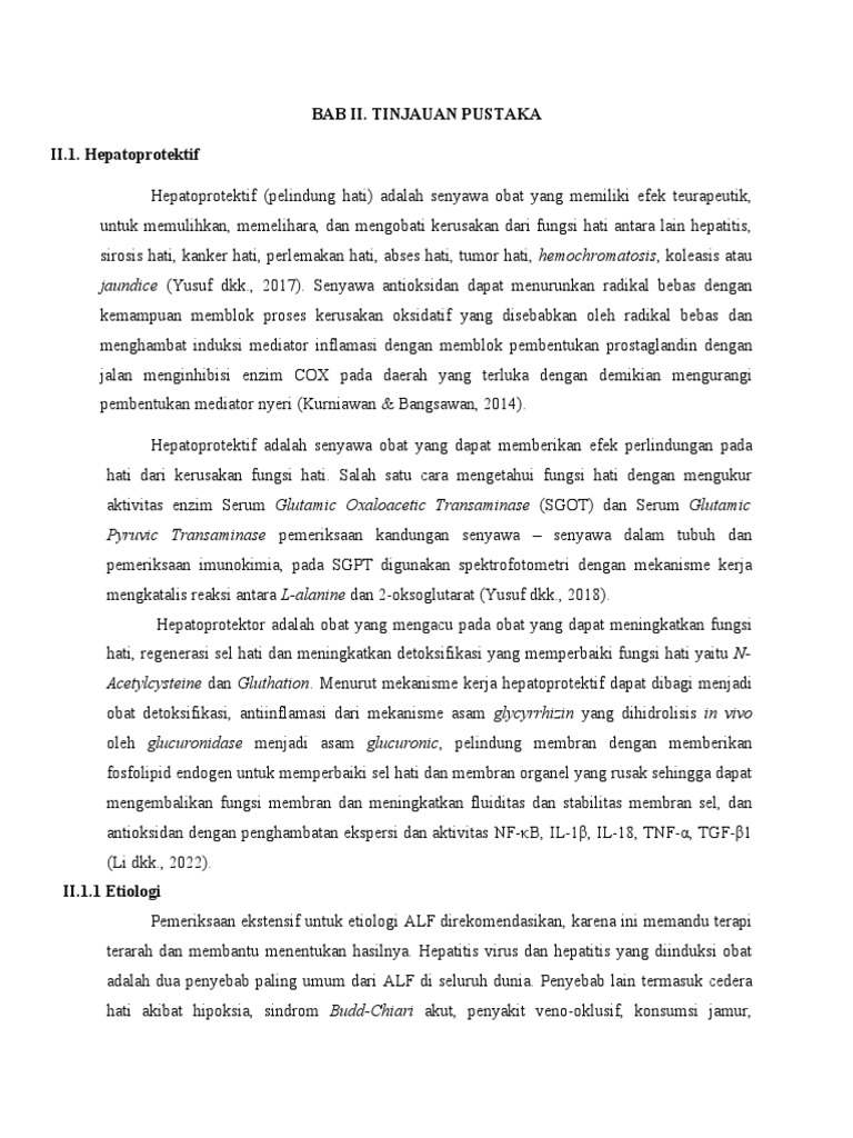 BAB II BARU - Nurul Aeni (Rev) - 1 | PDF