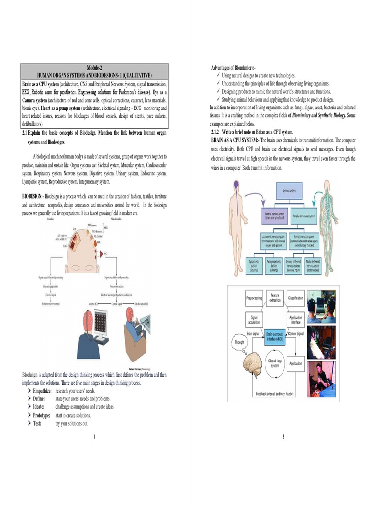 Human Organ Systems and Biodesigns1 | Download Free PDF ...