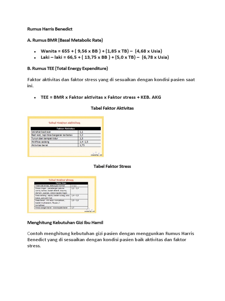 Rumus Harris Benedict | PDF