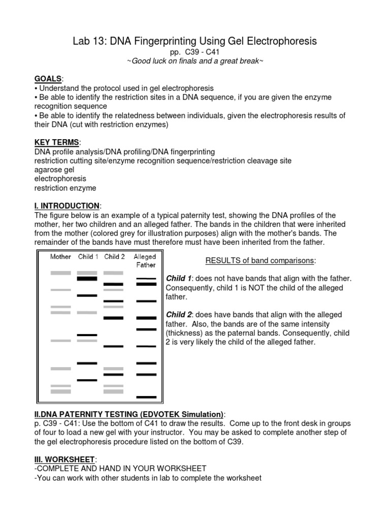 Bio 110 Lab 13 Main Handout | PDF
