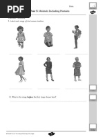 Mathlinks 7 Homework Book | PDF | Homework | Mathematics