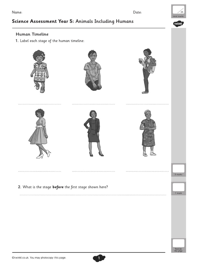 T2 S 857 Year 5 Animals Including Humans End of Unit Assessment Ver 1 ...