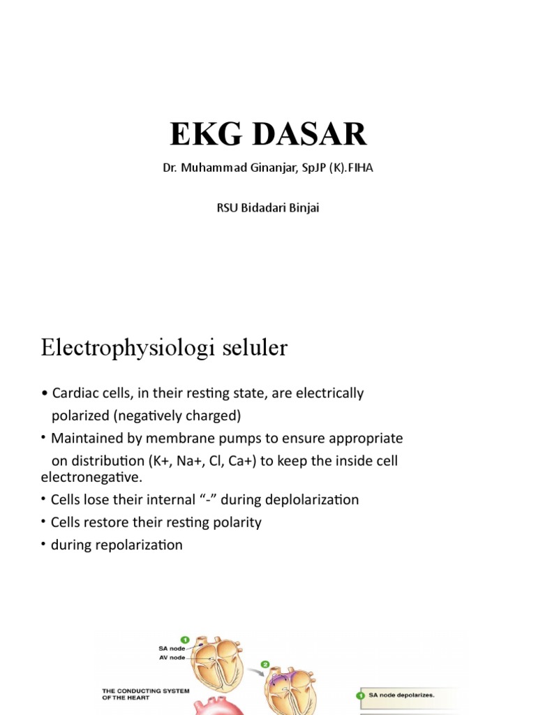 Basic Ecg | PDF
