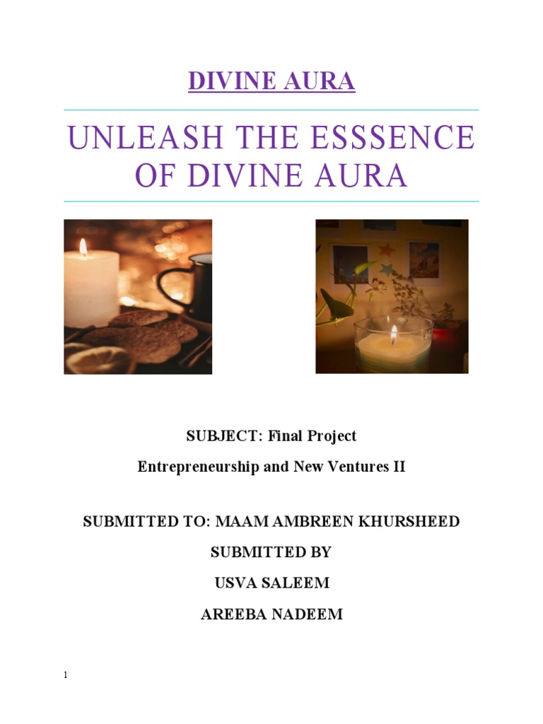 Divine Aura Final Project 12 | PDF | Equity (Finance) | Expense