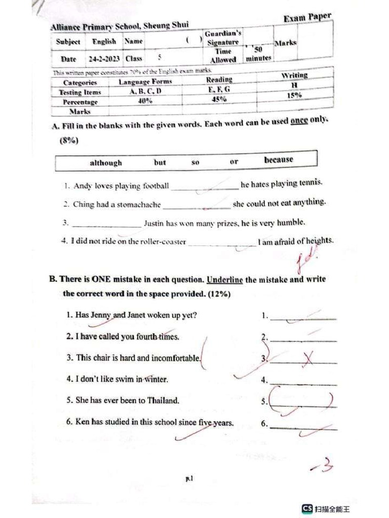 P5 Term 2 Exam | PDF