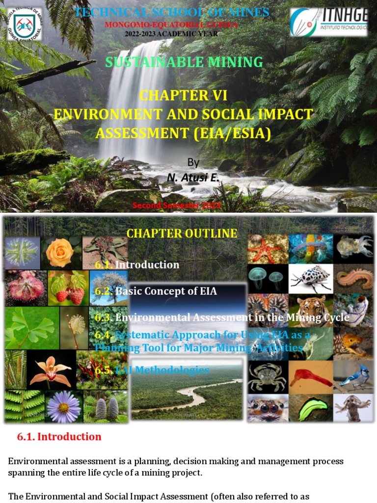Chapter 6 - Environmental Impact Ass. | PDF | Environmental Impact ...