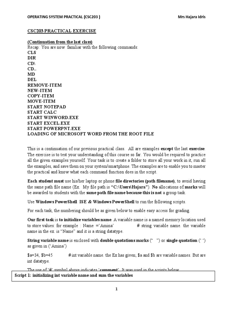 CSC203 Practical Exercise | PDF | Computer File | Filename