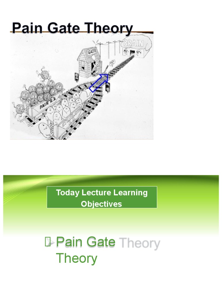 Pain Gate Theory | PDF | Pain | Nervous System