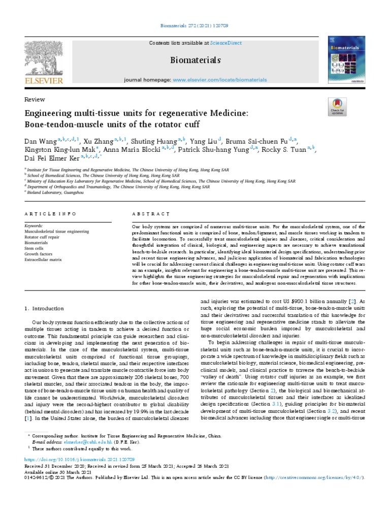 BoneTendonMuscle Unity | PDF | Tissue Engineering | Tendon