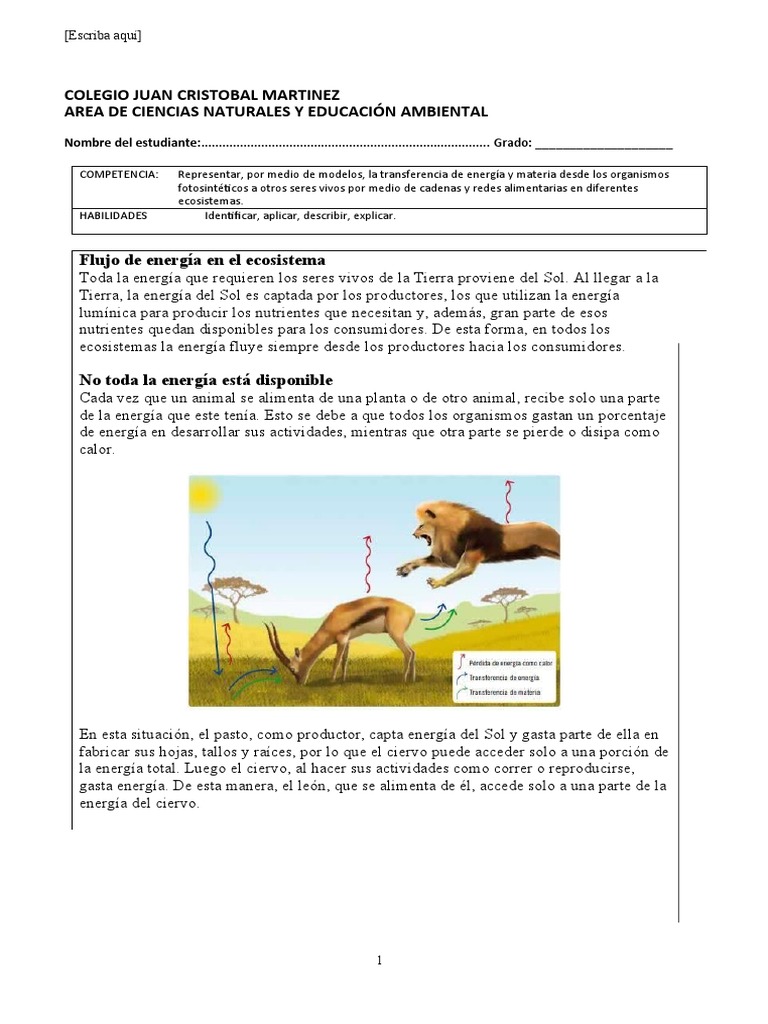 Flujo de Energia en Los Ecosistemas | PDF | Red alimentaria | Organismos