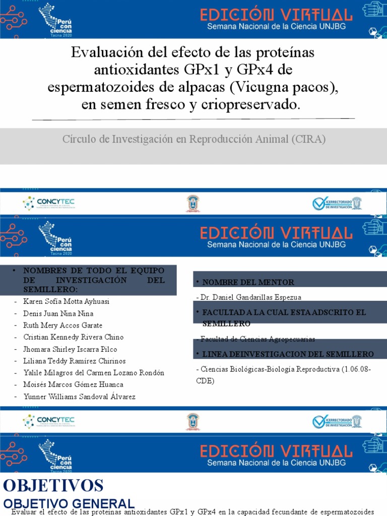 Ppt. Expo Semillero | PDF | Semen | Antioxidante