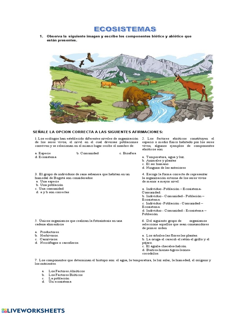 GUIA DE TRABAJO ECOSISTEMAS | PDF | Ecosistema | Ecología