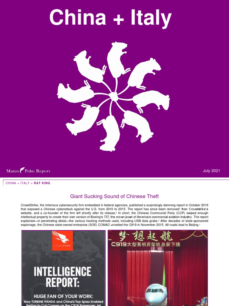 MP Rat King Report 7 10 21 1700 | PDF | Computer Security | Security