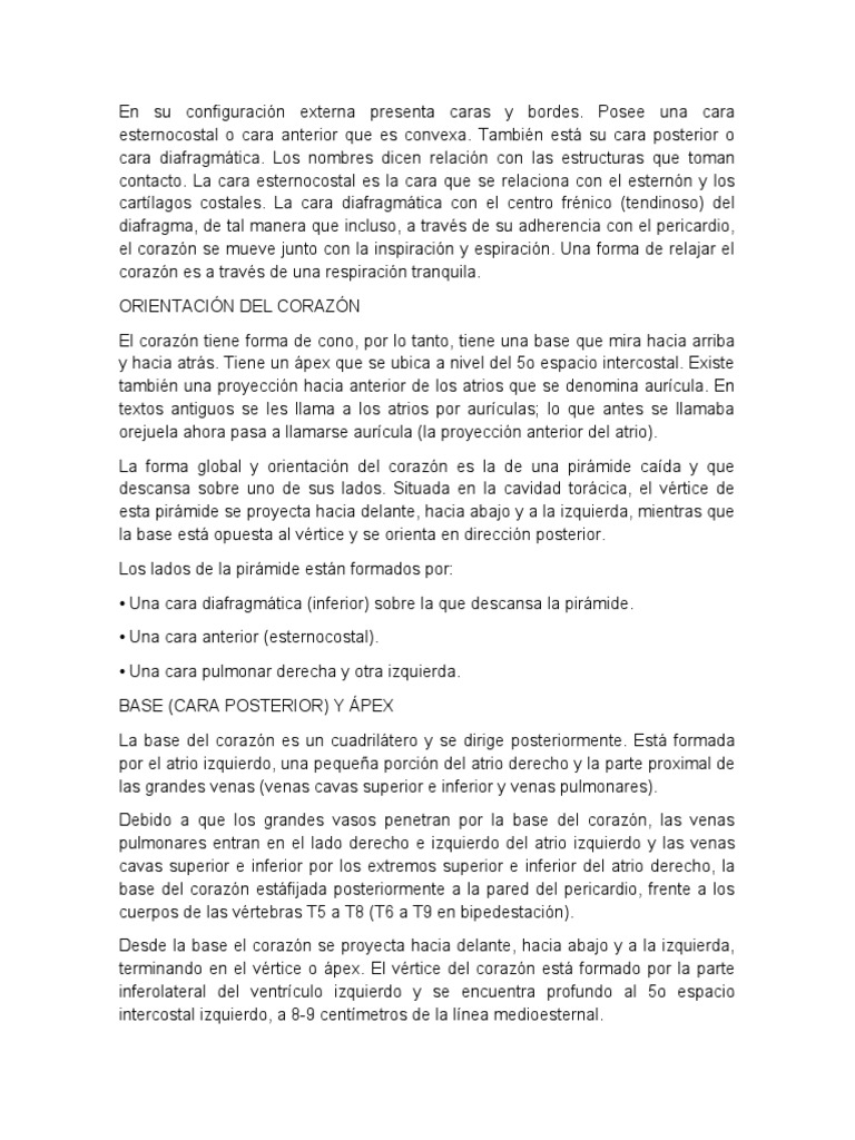 Corazon Morfologia Externa | PDF | Ventrículo (corazón) | Corazón